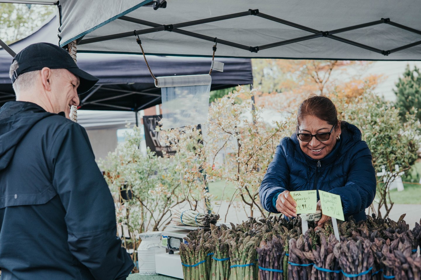 Forest Grove Farmers Market: A Hub for Culture and Community – The ...